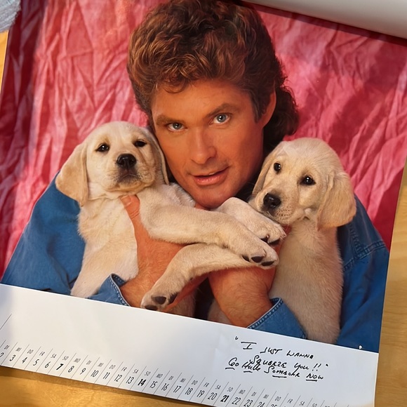 Wall Decor | Vintage David Hasselhoff 1993 Calendar | Poshmark